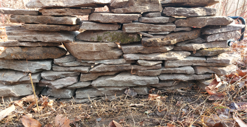 Construction and Renovation